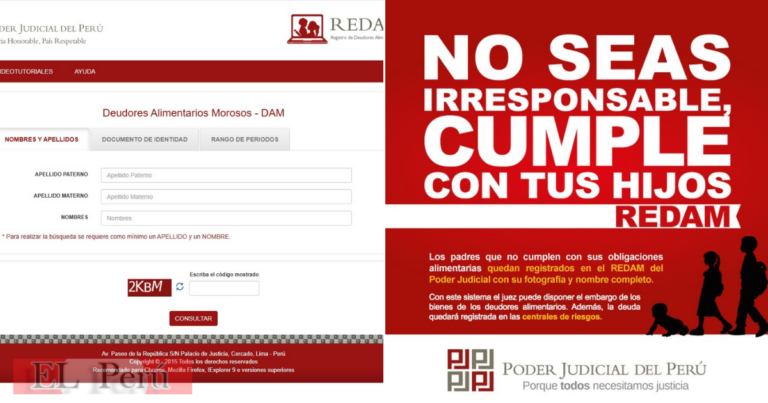 ¿Cómo inscribir a un deudor alimentario moroso en el Registro de ...